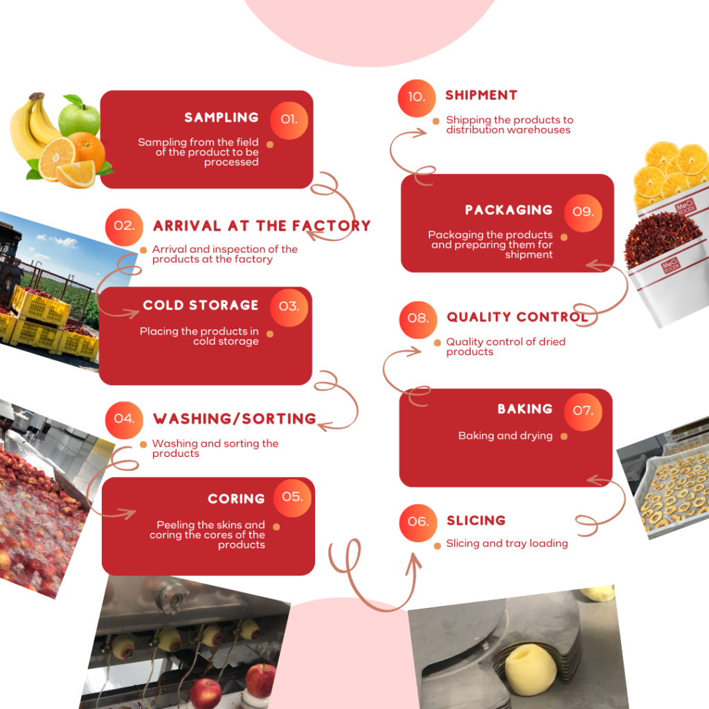 MeCi FOODS